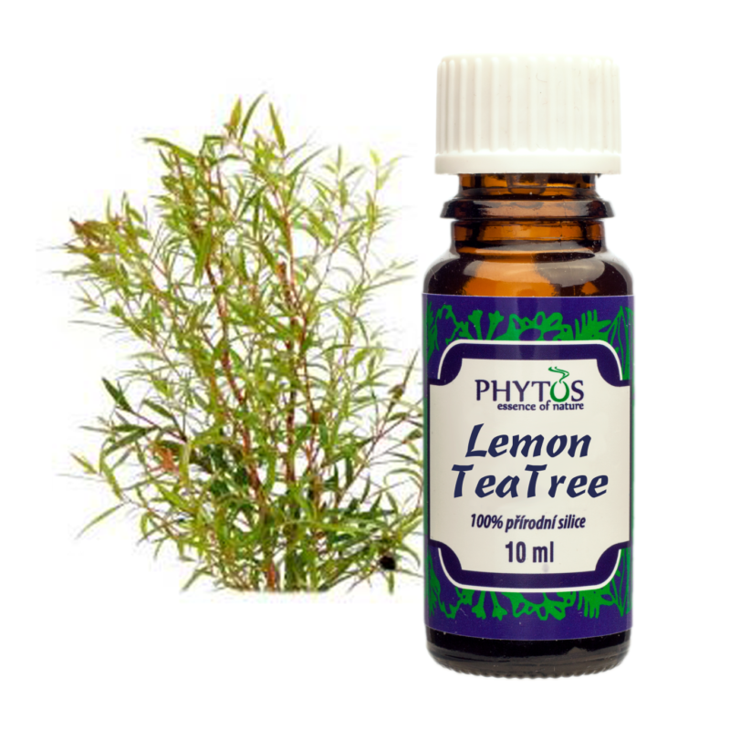 Lemon Tea Tree 100% esenciálny olej | Phytos